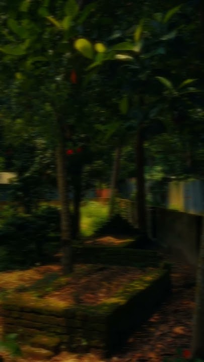 - Hmm :-! #tamim_broh - YouTube