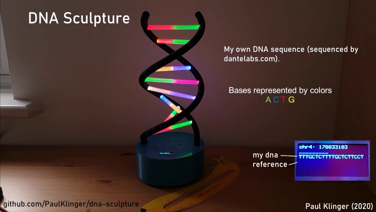 DNA Sculpture (showing my own genome) - YouTube