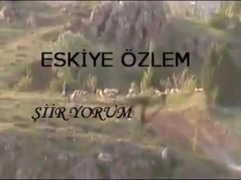KÖY ÖZLEMİ