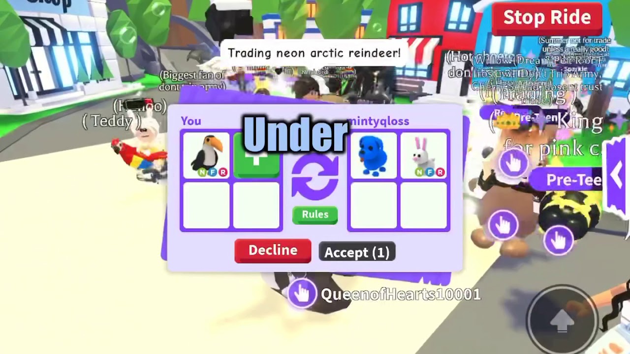 What can I get for my neon toucan - YouTube