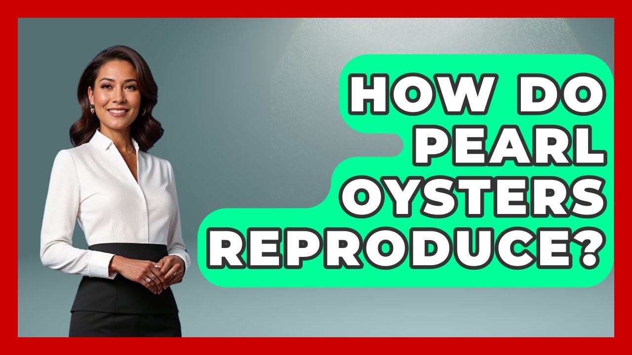 How Do Pearl Oysters Reproduce? - The Marine Life Explorer - YouTube