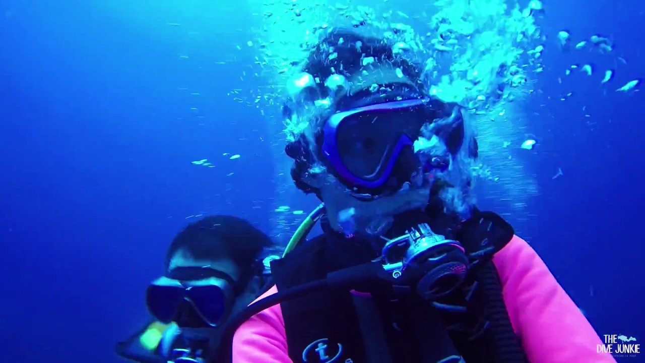 Diving at Layang Layang | Hammerhead Sharks - YouTube