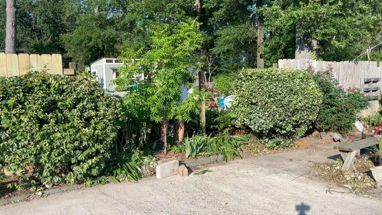 How to Repair and Revamp an Old Fence with New Wood | DIY Fence ...