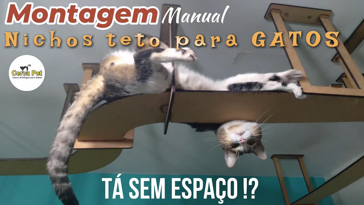 Moveis para gatos de teto personalizados, gatificação de ambientes ...