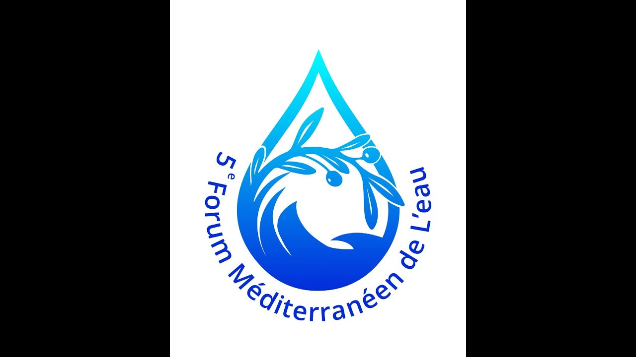 5th Mediterranean Water Forum - 5ème Forum Méditerranéen de l'Eau ...