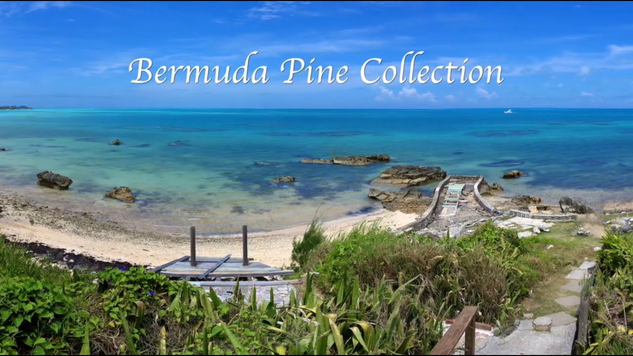 Bermuda Pine Collection - YouTube