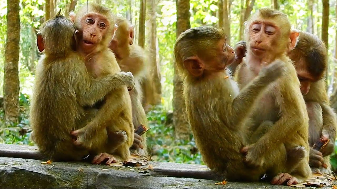 Super nice! Cute Angela kiss & hug little Rainbow so warmly in full ...