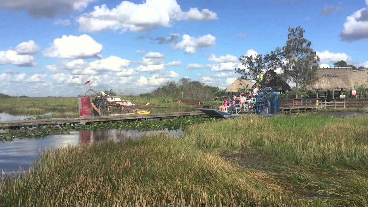 Tons of Fun Everglades Tour - YouTube