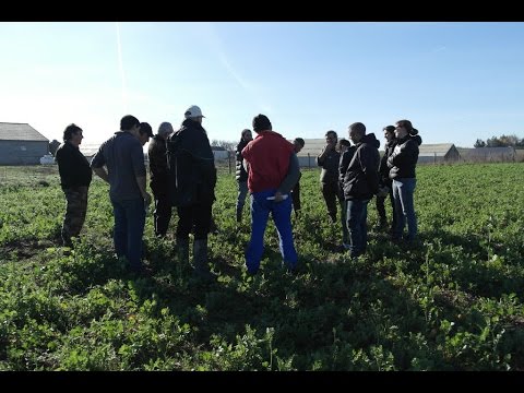 Couvert interculture - YouTube