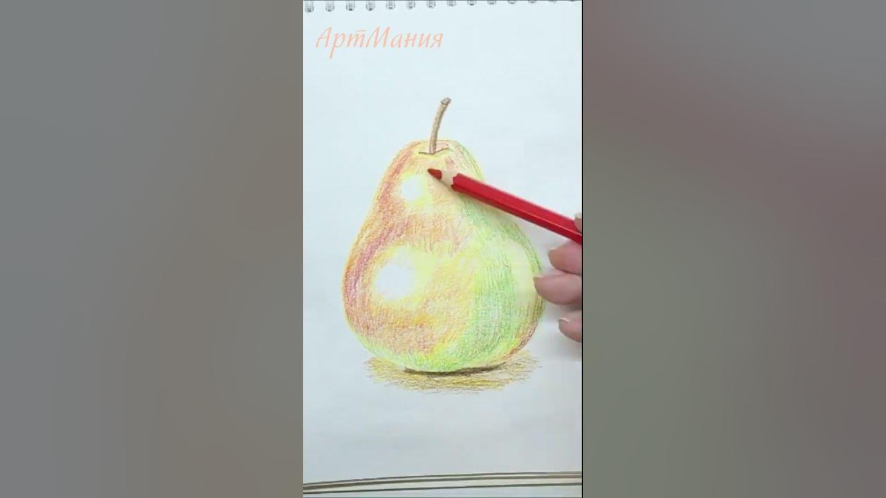 Груша Рисунок акварельными карандашами Эксперимент