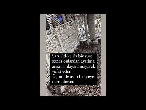 Hz. Hüseyin Efendimiz’in Kızları Hz. Fatma ve Sakine Validelerimiz’in  Hikayesi ve Türbesi