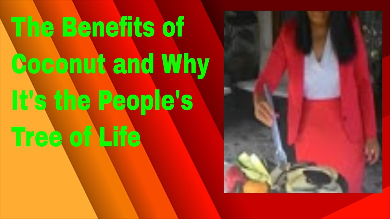 the benefits of coconut and why its the peoples tree of life - YouTube