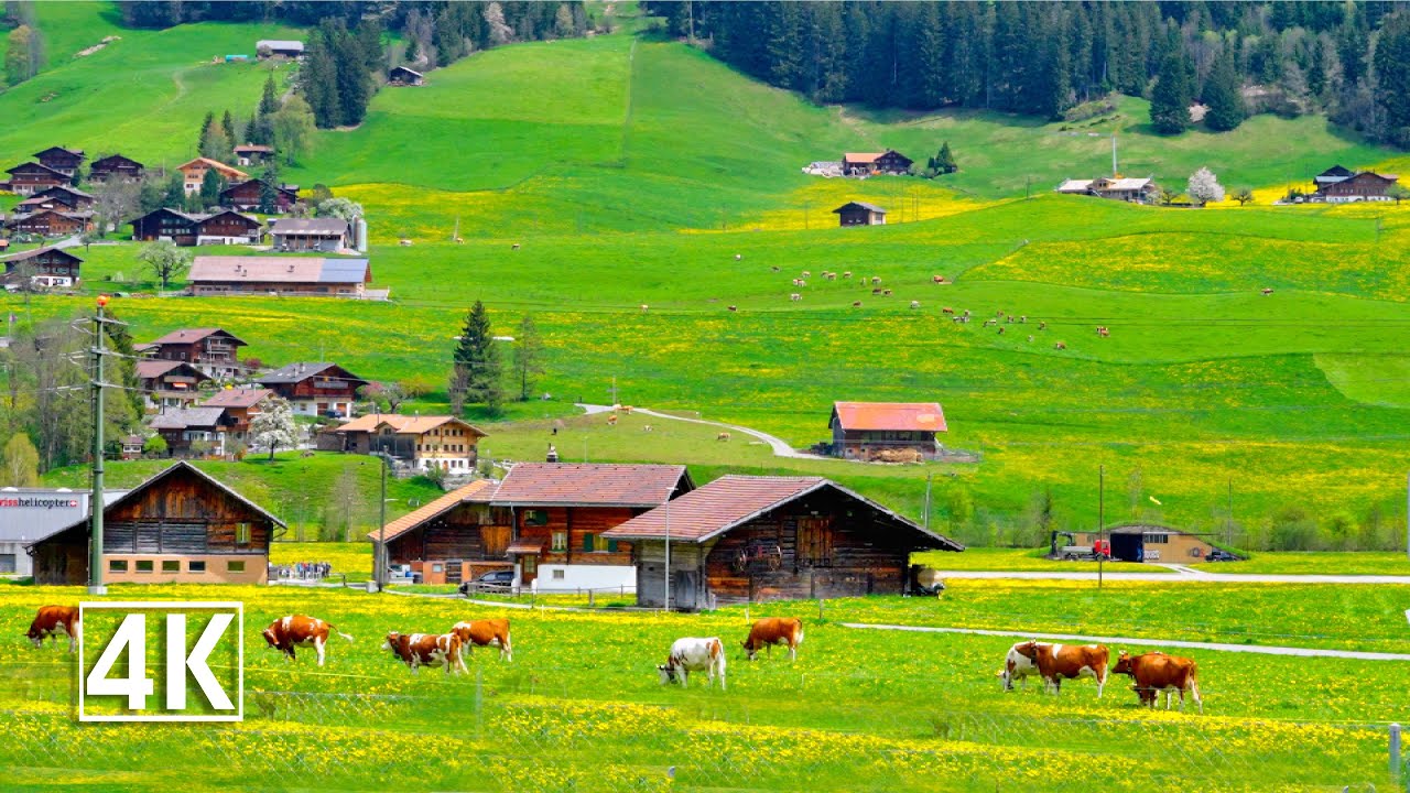 Switzerland 🇨🇭 Zweisimmen, the gateway to the world-famous Gstaad ...