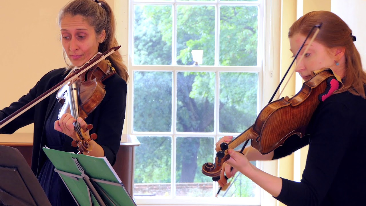 A. Sariel & Consone Quartet - mandolin concerto by Kauchlitz/Colizzi ...