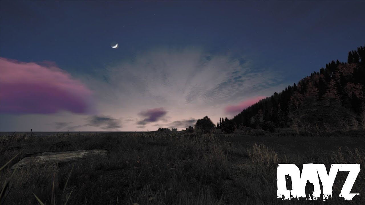 DayZ | DARK STAR PVE - YouTube