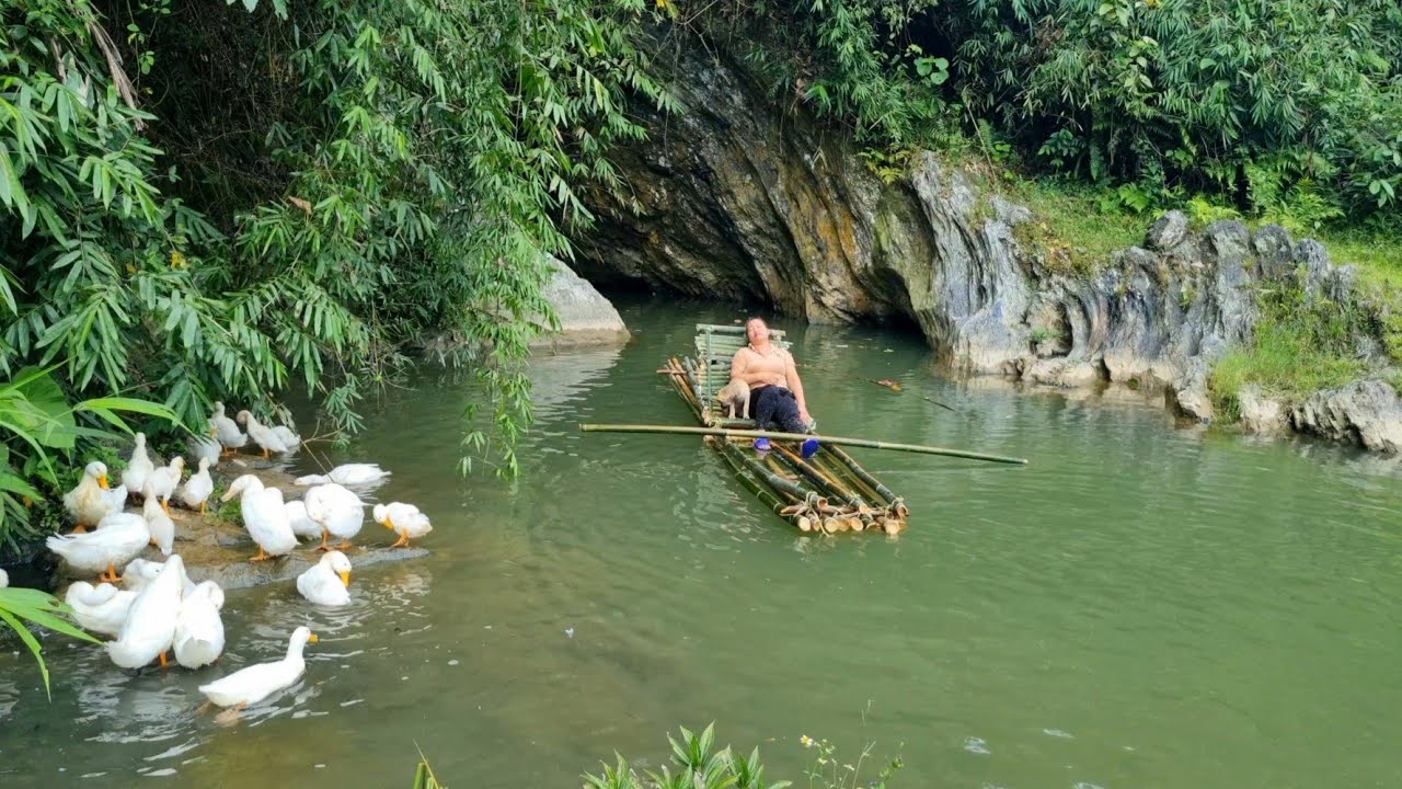 Using bamboo to make rafts, raising ducks - Cooking || Lý Ngọc Linh ...