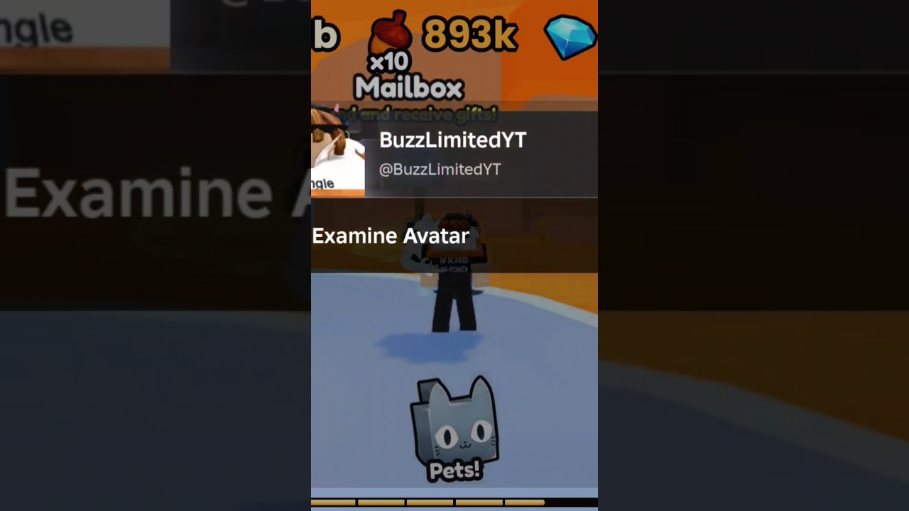 Day 3 of Checking My Mail Box is Pets Go - YouTube