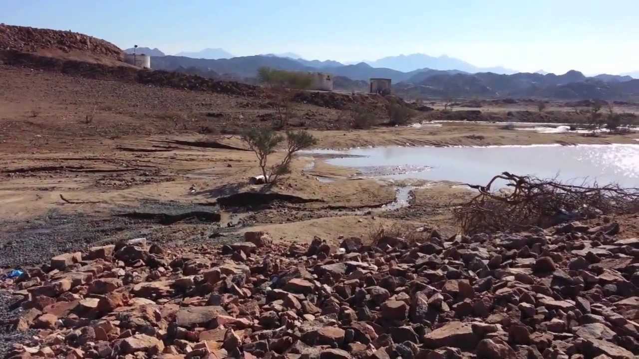 Reversing the Cycle of Desertification - YouTube