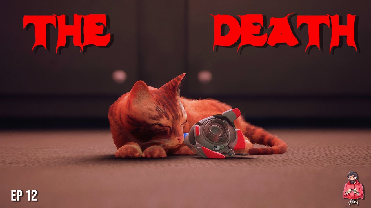 Stray - death and ultimate Sacrifice! SAD SCENE! EP 12 - YouTube