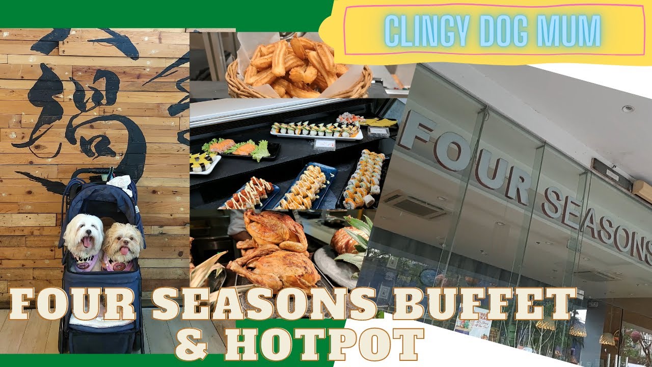 Pet Friendly Buffet Restaurant with our dogs Maltese and Shih Tzu ...