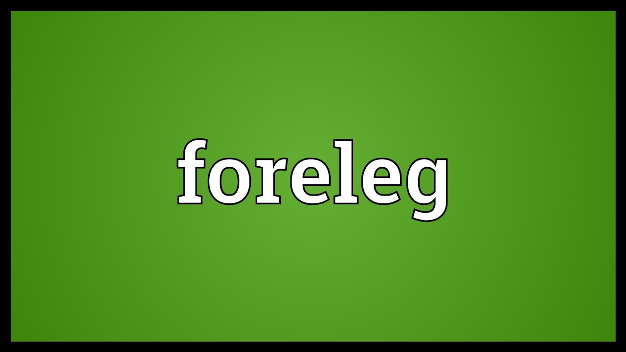 Foreleg Meaning YouTube foreleg-meaning-youtube