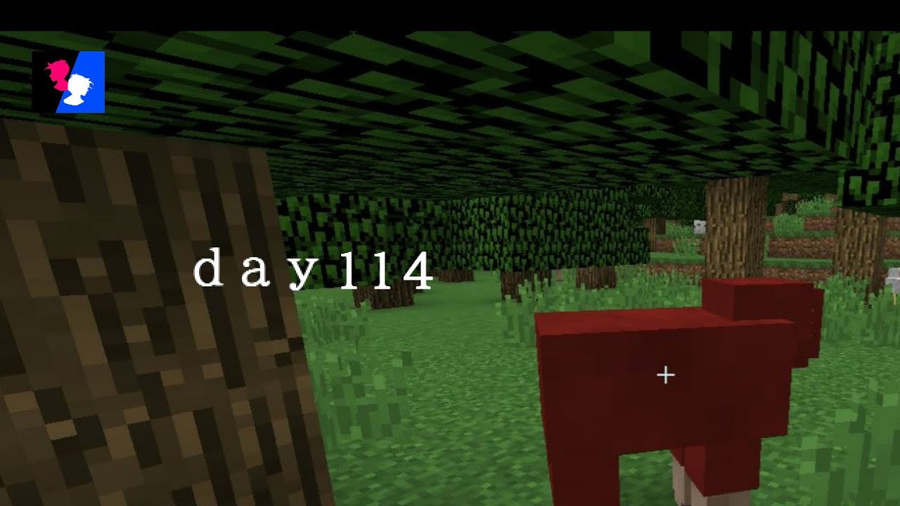 【Minecraft JavaEdition day114】 マイクラでBGM無しの無言サバイバル実況を始めてみました 114日目（仮） - YouTube