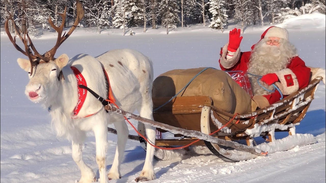 Best reindeer rides of Santa Claus 🦌🎅 Father Christmas in Lapland ...