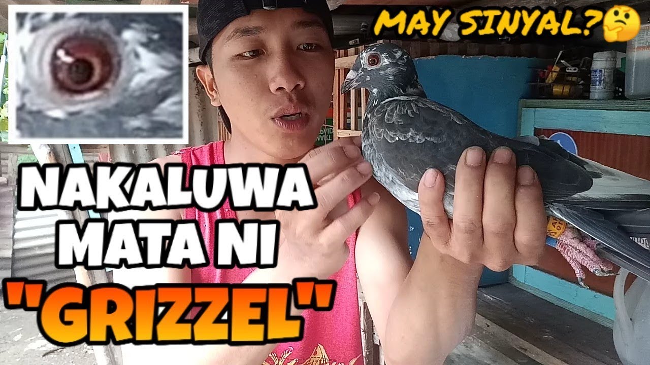 LUWA YUNG MATA NI "GRIZZEL" 👀 Senyales na nga ba ito? - YouTube