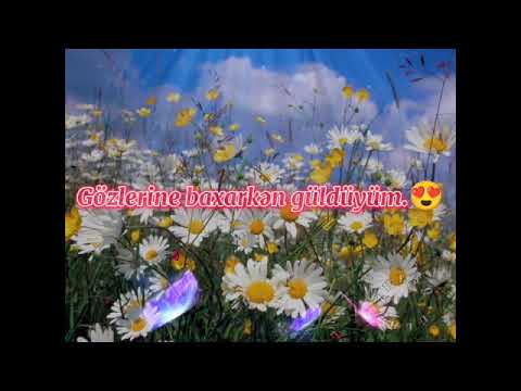 💚🦋 Whatsapp ucun Maraqli statuslar Sevgiye video Sounds App 2022 Status ucun video,Menali video 🌼🍃