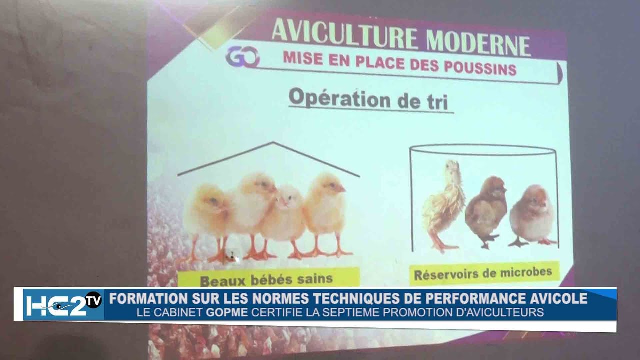 Le cabinet GoPME certifie la 7è promotion des aviculteurs sur les ...