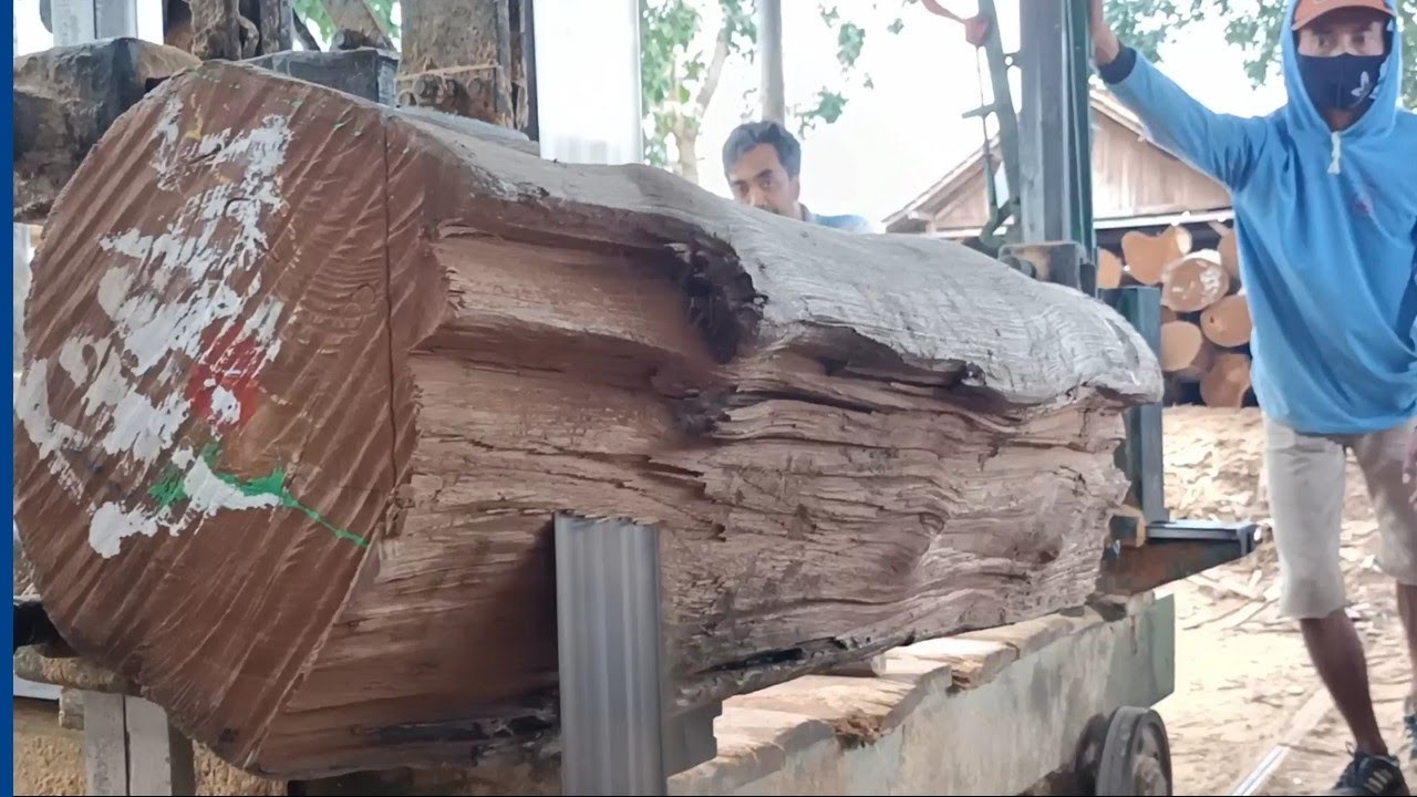 Terbuang Diantara tumpukan Kayu bakar,proses penggergajian kayu jati ...