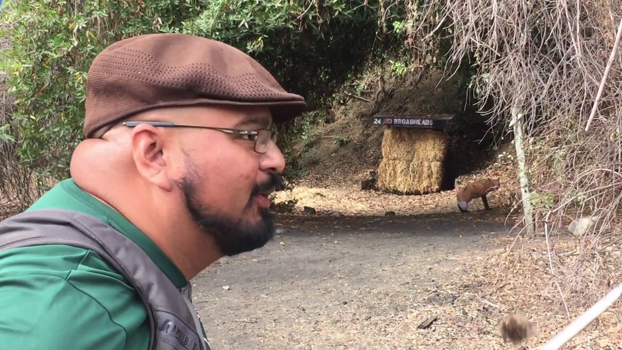 SPA @ Pasadena Roving Archers Traditional Tournament 2016 - YouTube