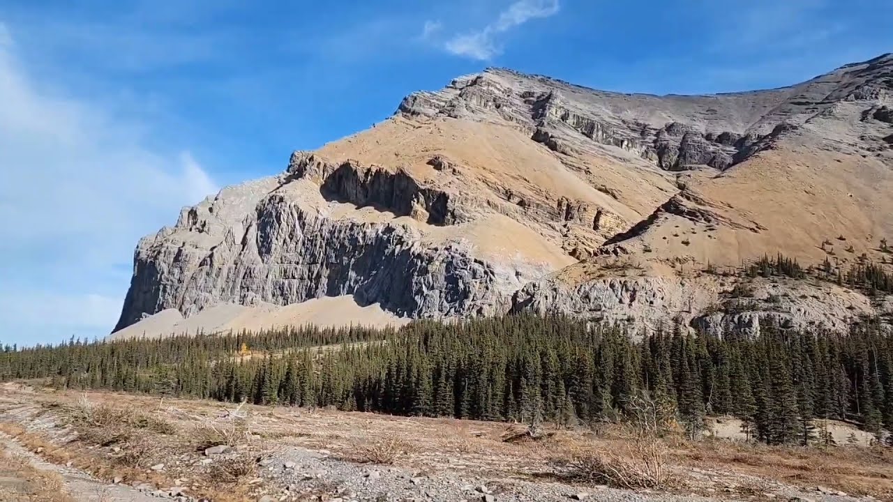 Cardinal River UTV playdate! - YouTube