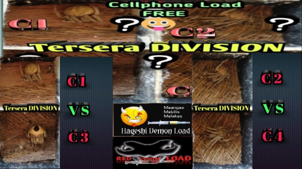 Spider tournament | Loaded spider | spider load - YouTube