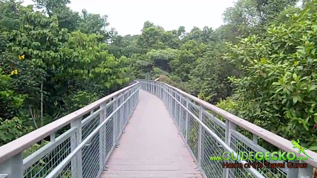 Walkthrough of Sentosa Nature Discovery - YouTube