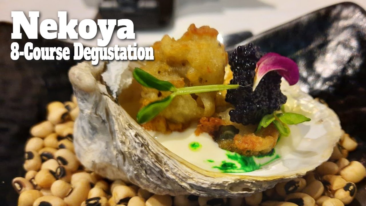 Nekoya 8-Course Degustation - YouTube