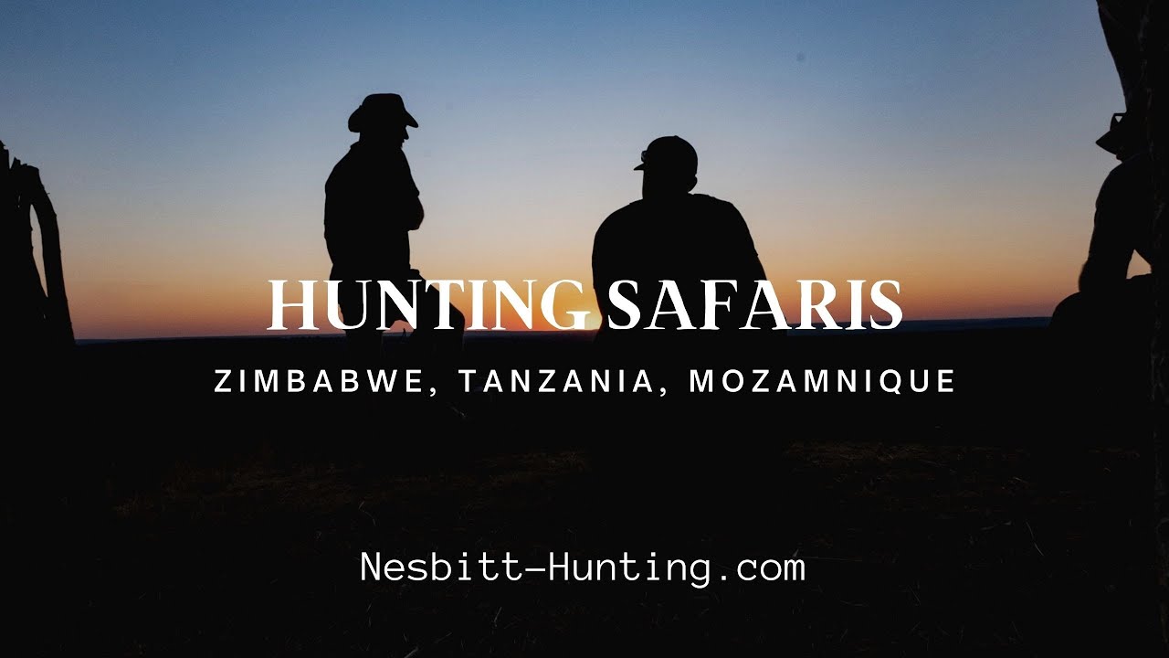 Hunting Safaris in Zimbabwe, Tanzania & Mozambique - Nesbitt Hunting ...