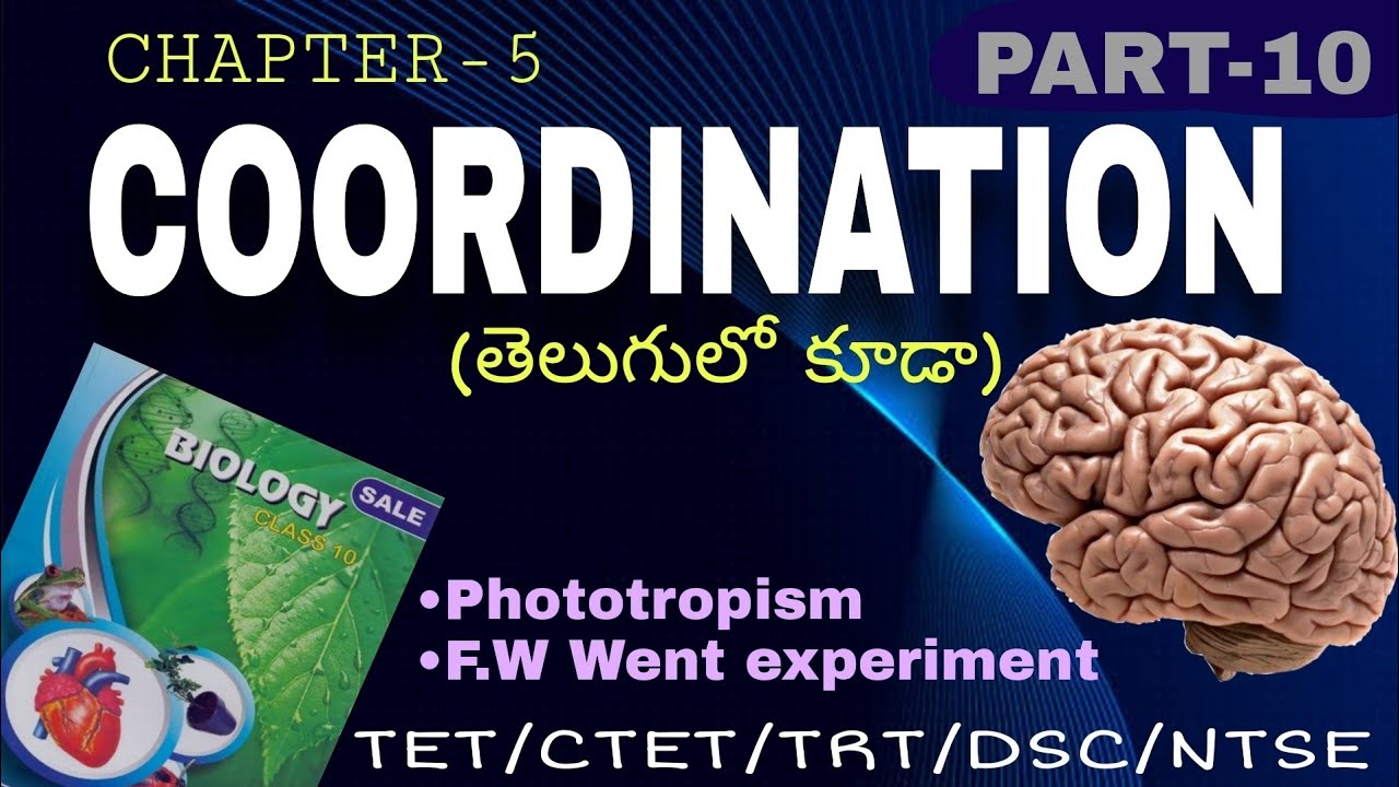 fw went experiment@NaturalBiology - YouTube