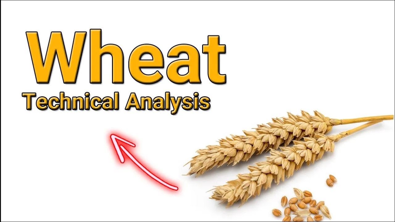 Wheat Technical Analysis - YouTube