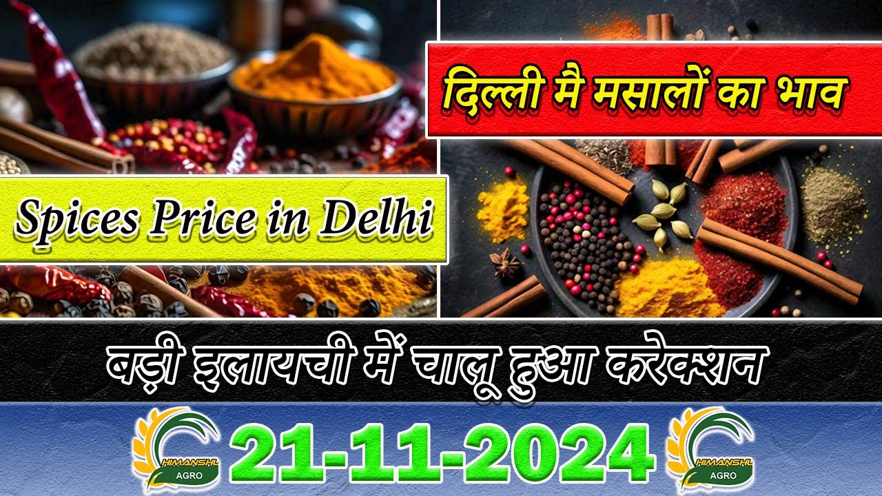 khari baoli spice market prices today | delhi masala market - YouTube