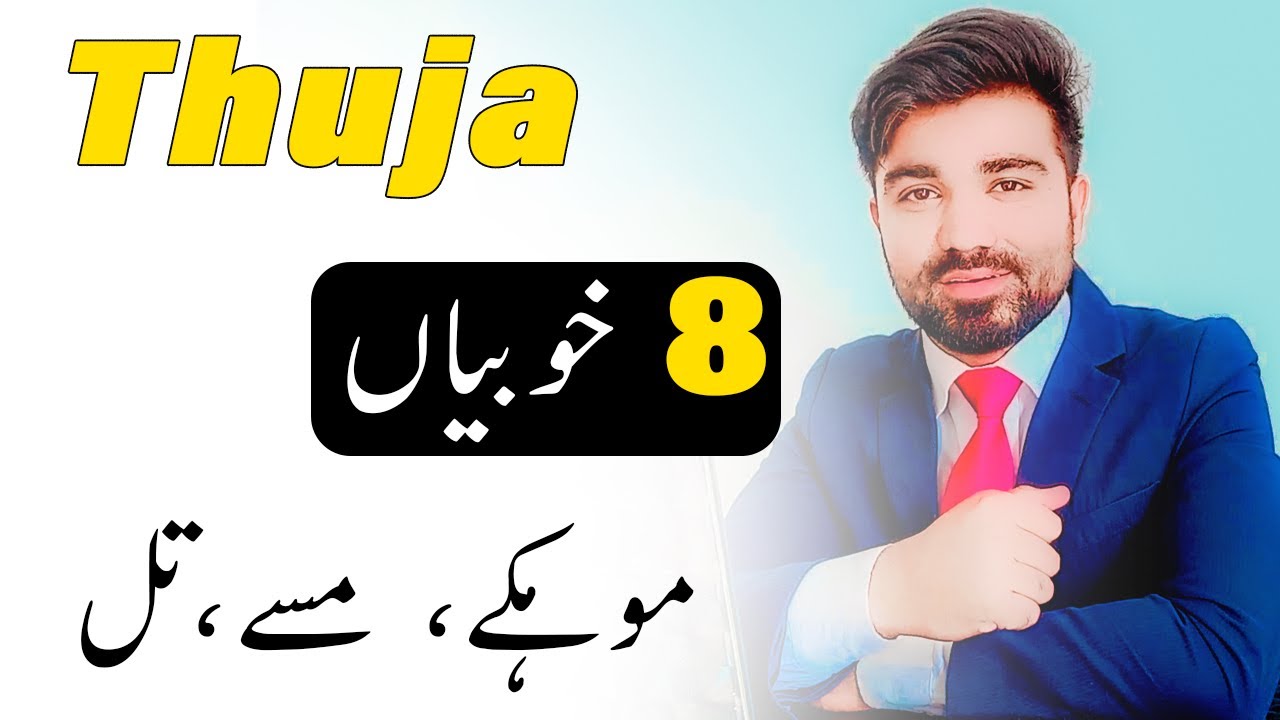 Thuja homeopathic medicine | Thuja 200 homeopathic medicine uses ...