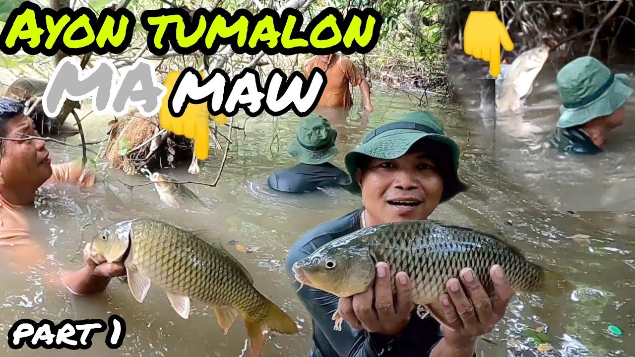 EP21 MALA HALIMAW NA MGA CARPA NAG SI TALUNAN SA AMING LAMBAT GRABI ANG ...