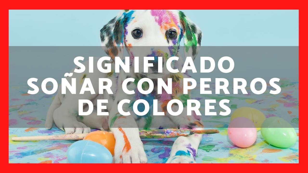 ️ QUÉ SIGNIFICA SOÑAR CON PERROS DE COLORES 2023 SIGNIFICADO SUEÑO CON ...