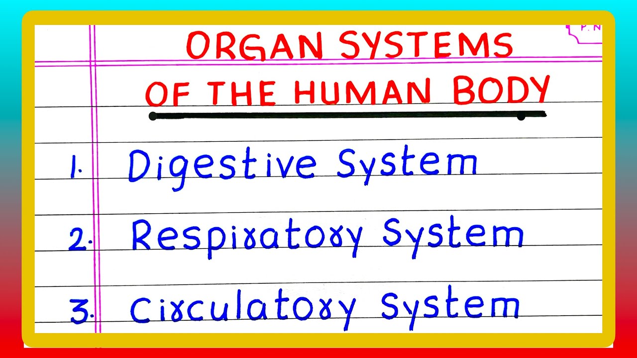 Organ Systems of the Human Body | Name of Organ System of Human Body ...