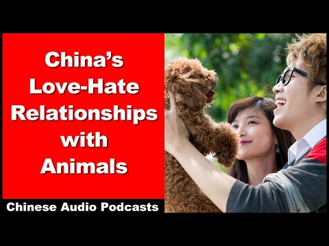 China's Love-Hate Relationship With Animals - Intermediate Chinese - Chinese Audio Podcast