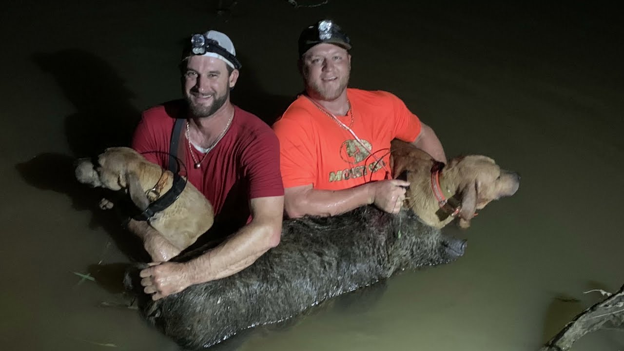 Awesome Alabama Hog Hunt with Dogs - YouTube