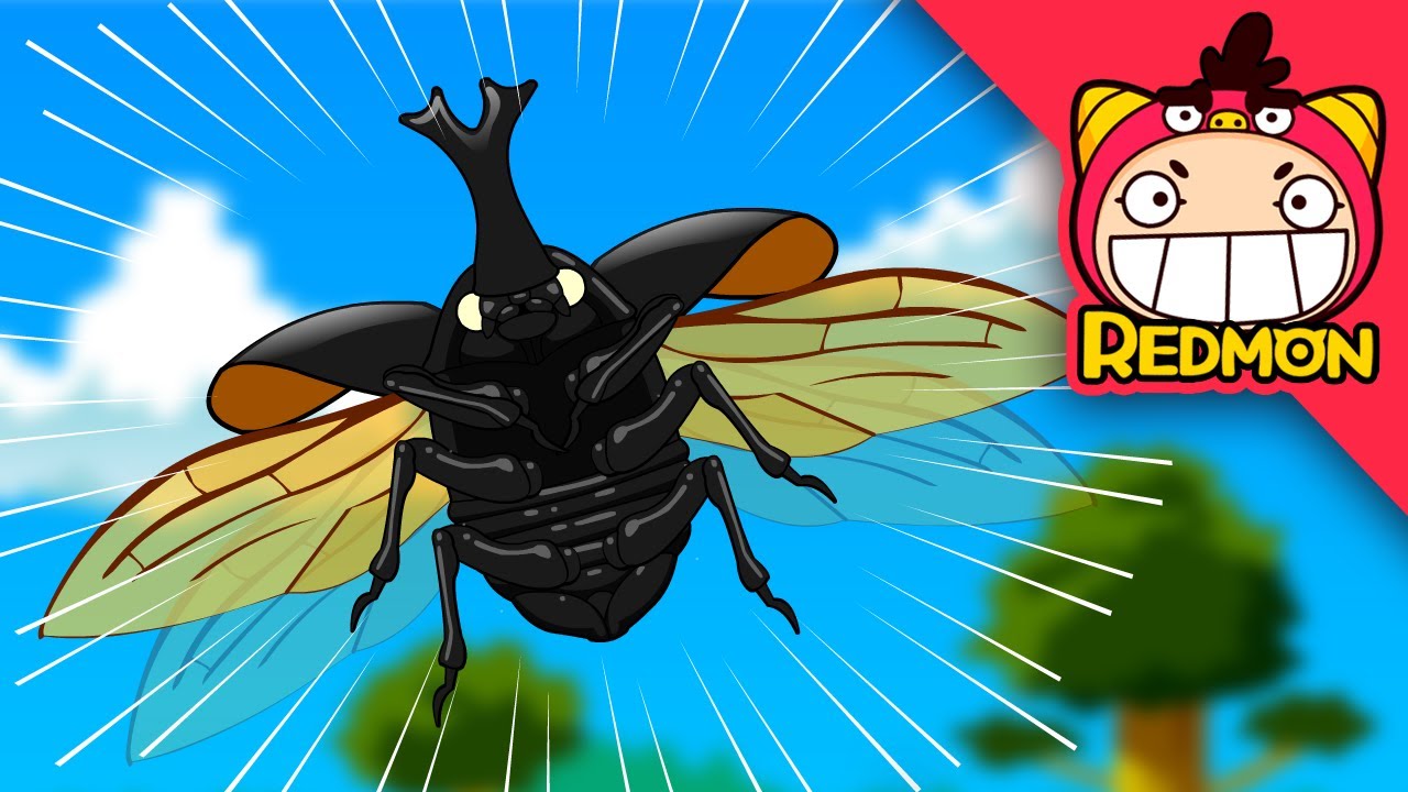 The ultimate winner and a shedding grasshopper | Insect world #02 ...