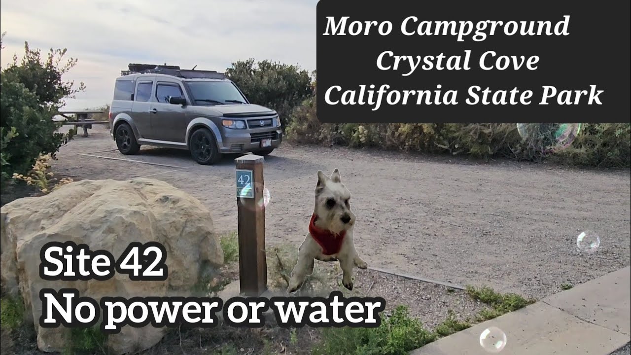 Site 42 Crystal Cove California State Park Moro Campground - YouTube