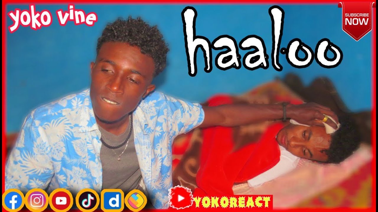 HAALOO ! YOKO VINE short comedy @yokoreact7566 | @Egeree Media must ...