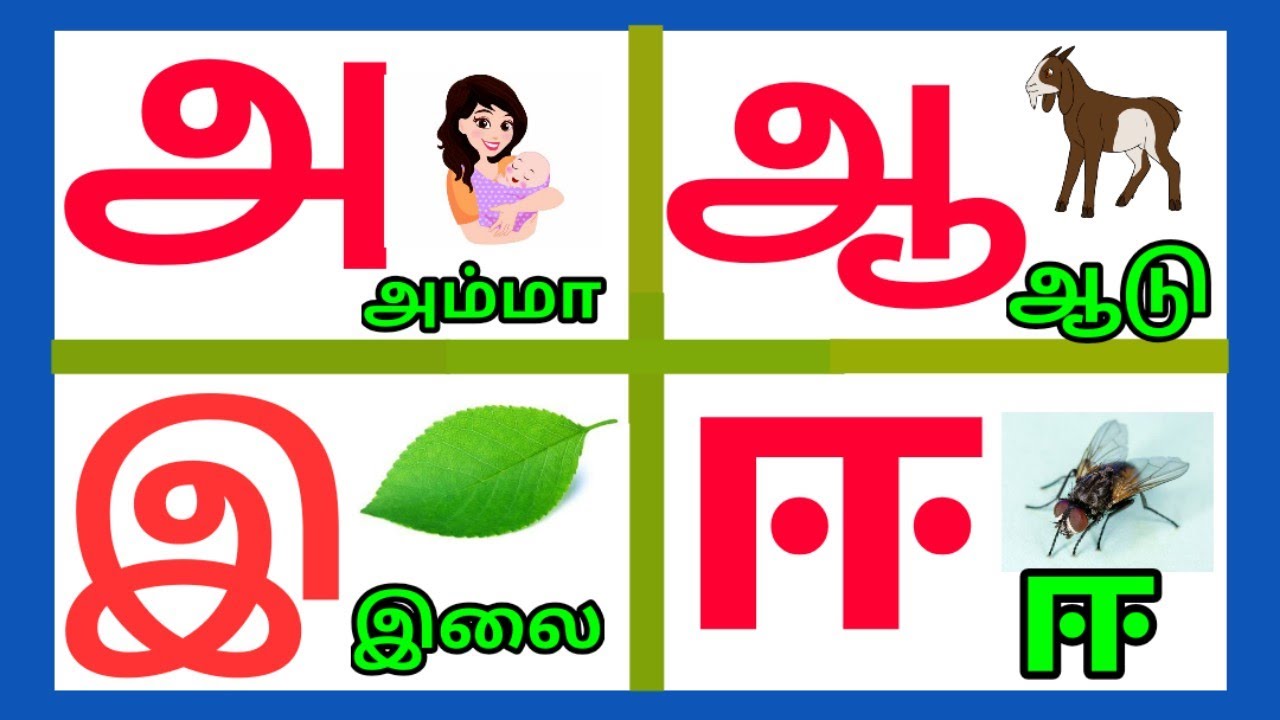 அ ஆ இ ஈ வரிசை சொற்கள்/ aaaeee // Learn for kids vedio alphabetstamil/ # ...